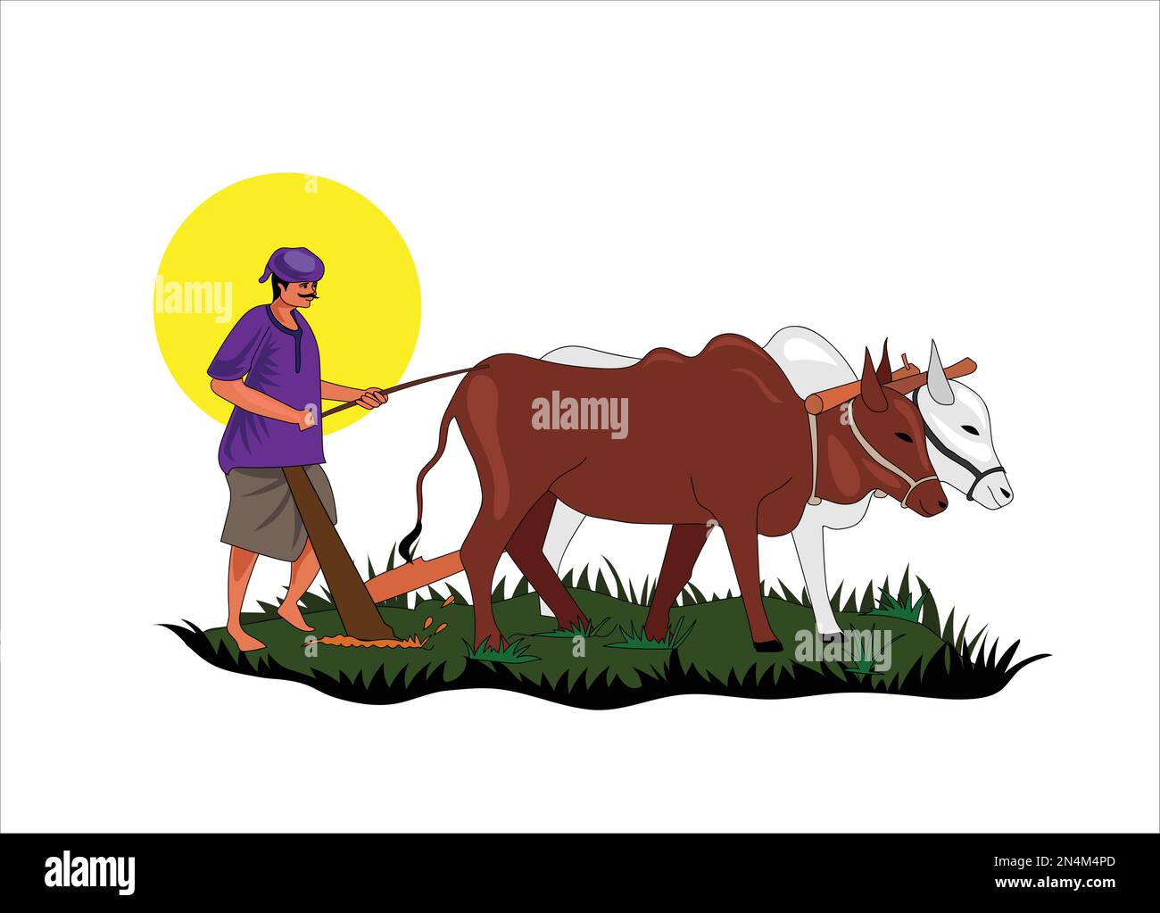 Indian . Pakistani cow farmer vector illustration Stock Vector Image ...