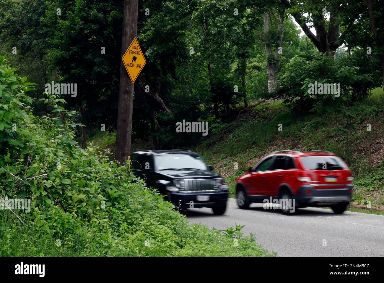 Cars pass a toad crossing sign, Wednesday, June 11, 2014, in the ...