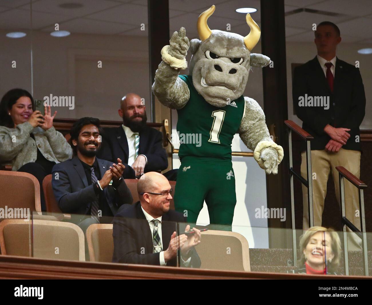 University Of South Florida Mascot