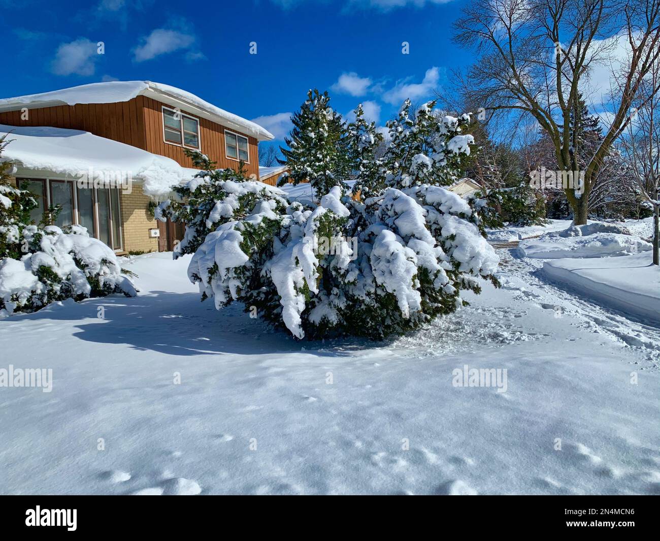 Large bush overtaken heavy snow hi-res stock photography and images - Alamy