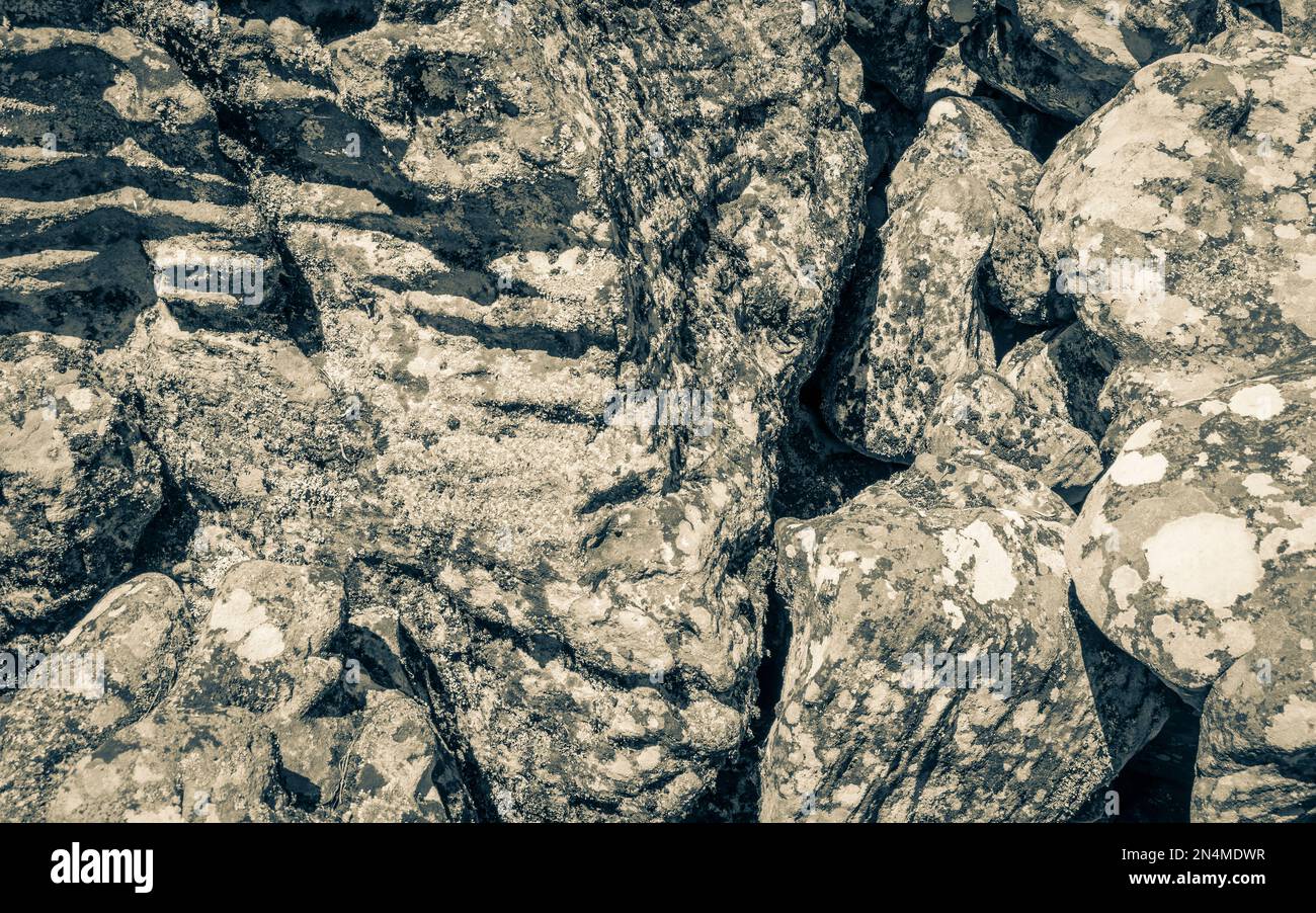 Texture from the rock in the Table Mountain National Park in Cape Town ...