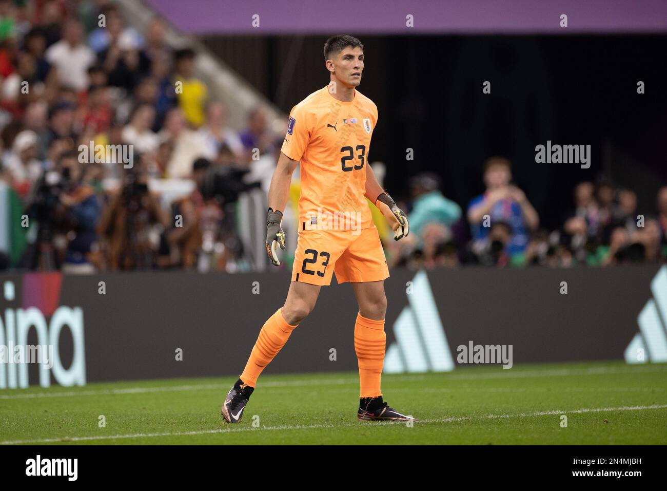 Lusail Stadium, Qatar. 28th Nov, 2022. Sergio Rochet (Uruguay) seen in ...