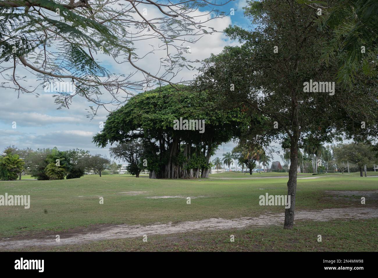 Wide view golf course hi-res stock photography and images - Alamy