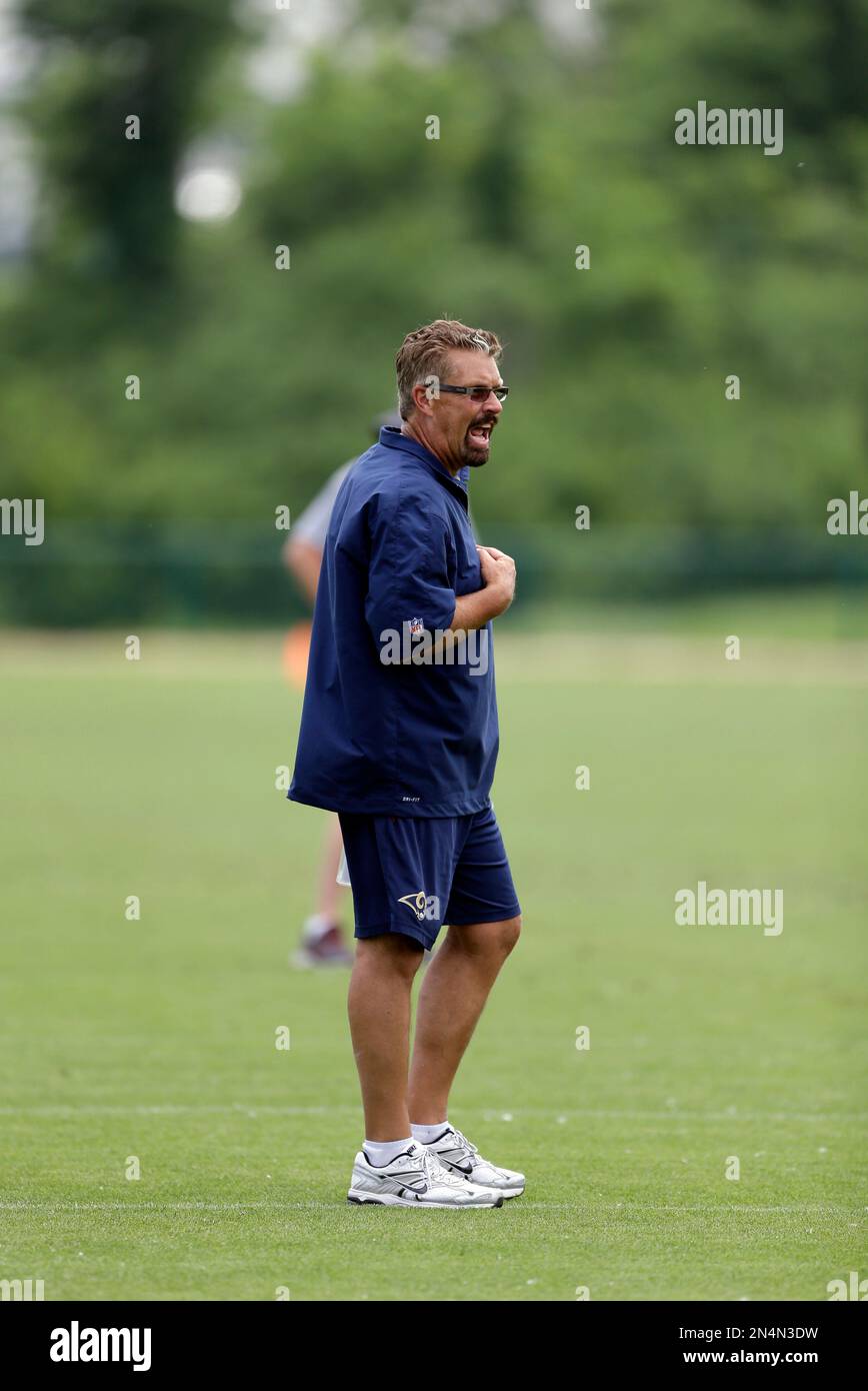 St. Louis Rams defensive coordinator Gregg Williams watches during an ...