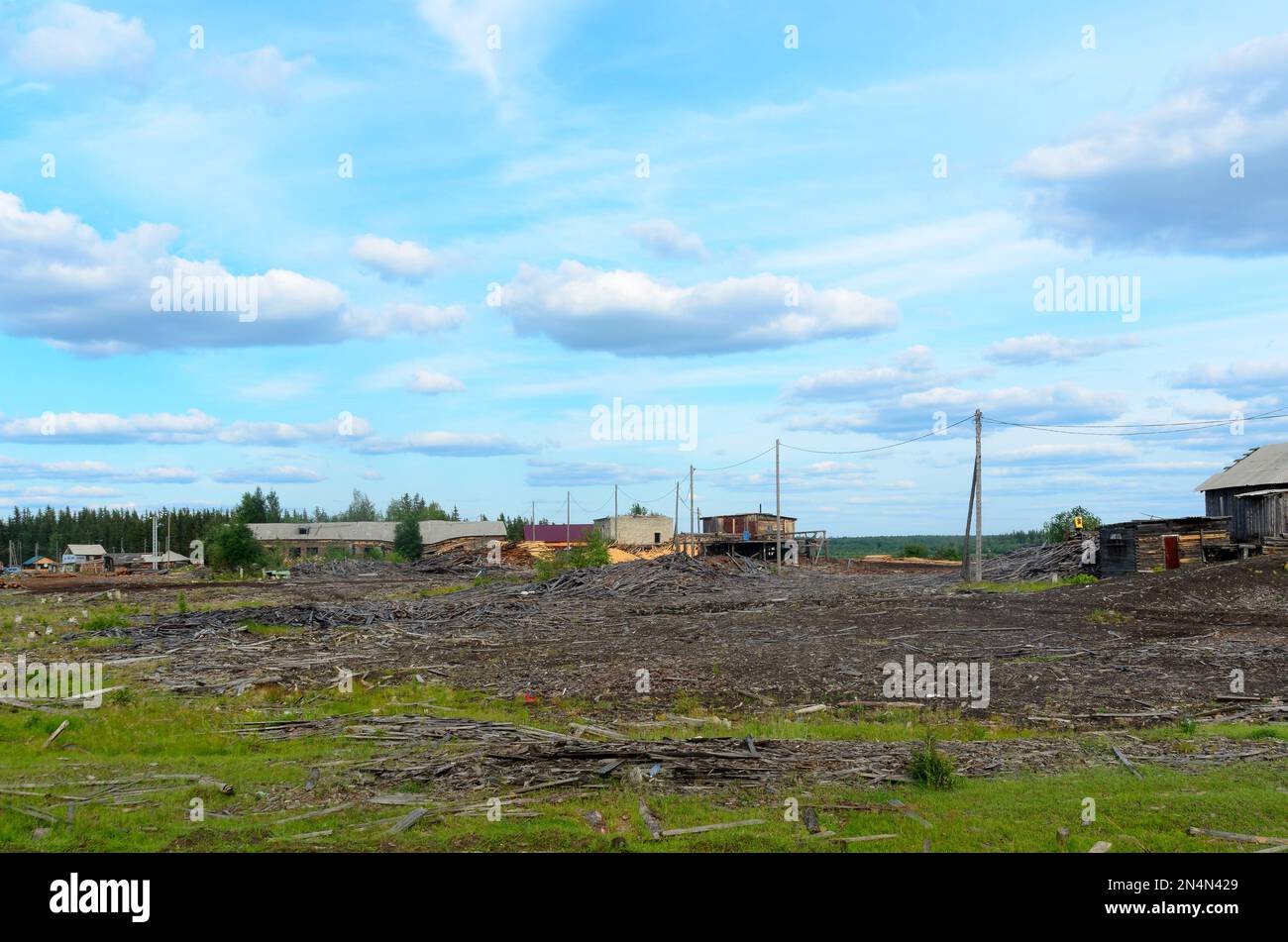 An empty field with abandoned boards near an abandoned furniture ...