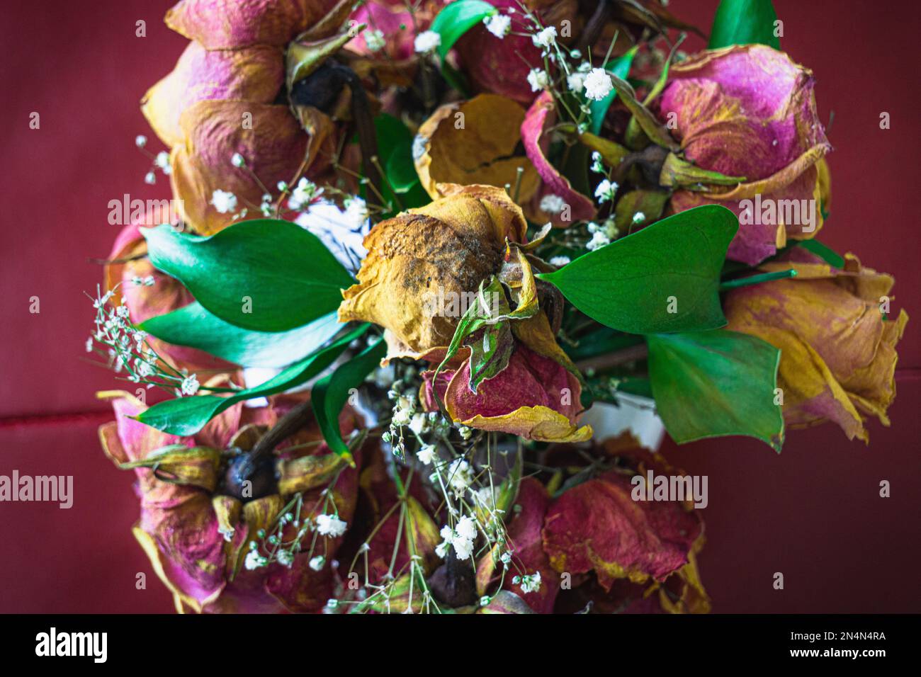 Beautiful dried flowers and leaves arrangement on a red background ...