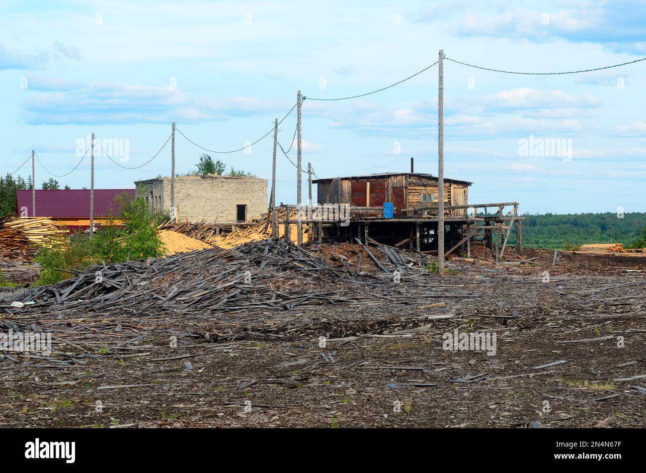 Abandoned and new planks for construction with sawdust near an ...