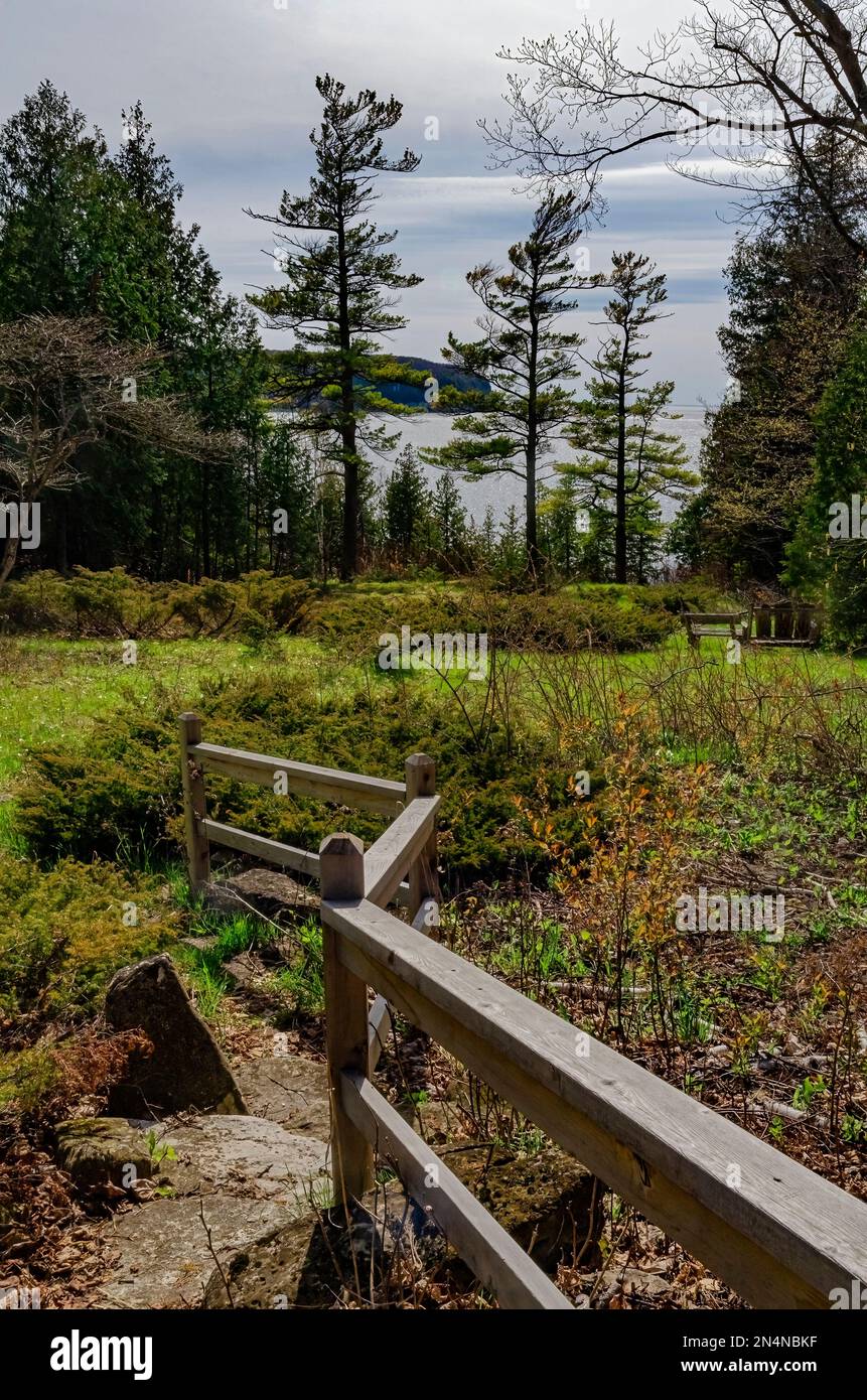 The three pines are a recognizable feature below the lodge at the ...