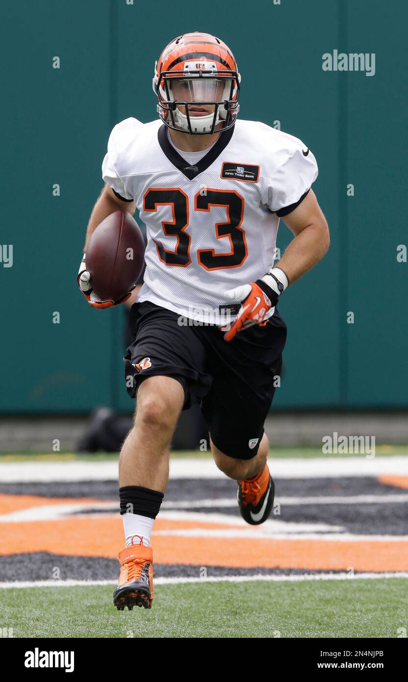 Cincinnati Bengals running back Rex Burkhead carries the ball during an ...