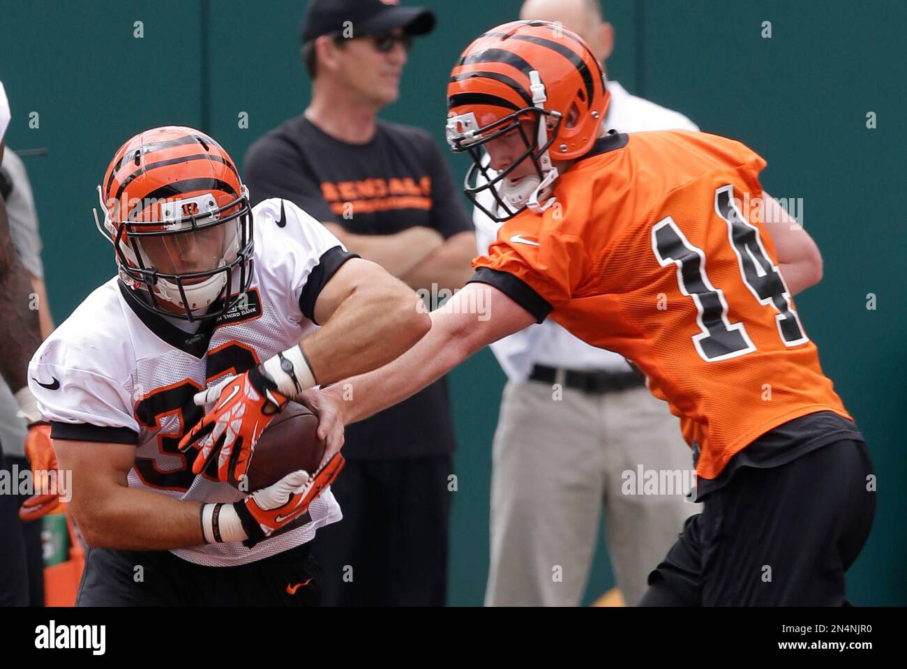 Cincinnati Bengals quarterback Andy Dalton (14) hands off to running ...