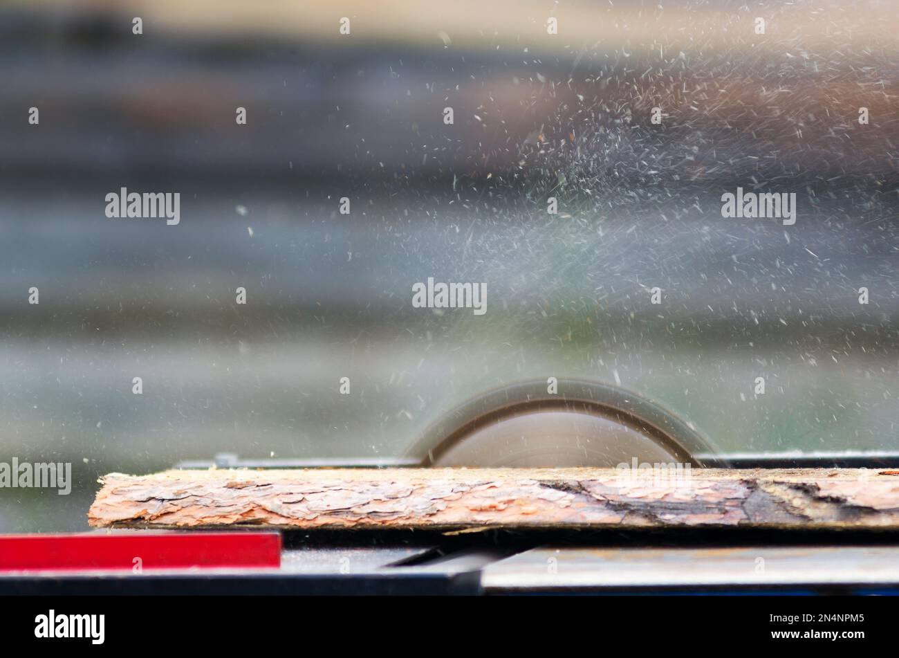 A rapidly rotating circular saw blade on the desktop cuts a pine Board ...