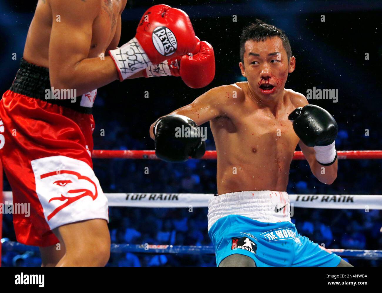 Jr bantamweight hi-res stock photography and images - Alamy