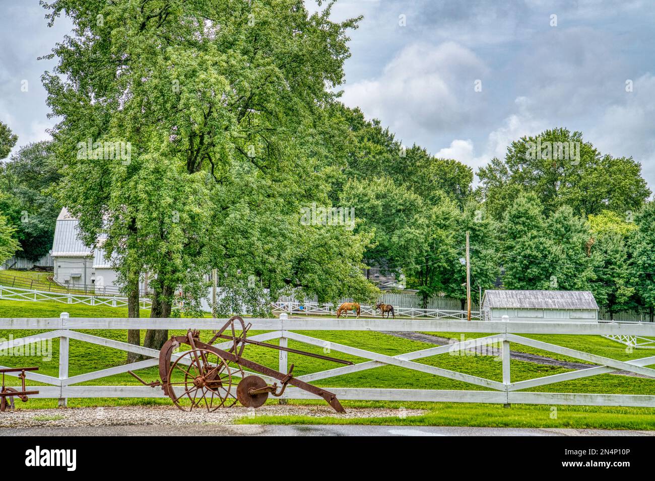 The pasture and grazing horses behind Graceland, the home of Elvis ...