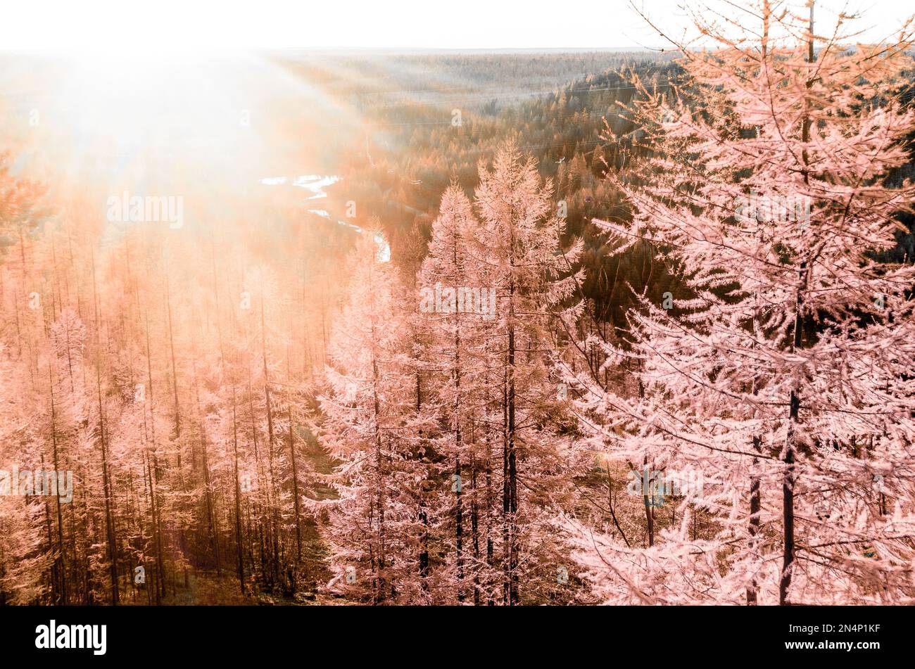 Abstract photo bright colorful sunset with sun rays in the Northern ...