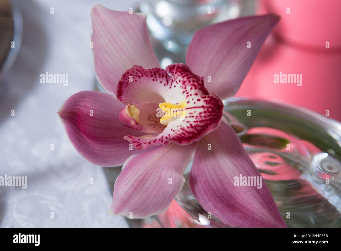 Colombiana Movie Flower