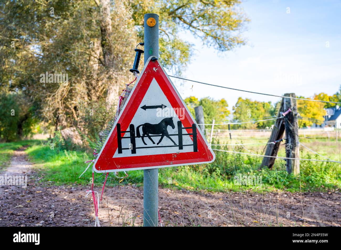 Horse behind a fence red warning sign on a farm Stock Photo - Alamy