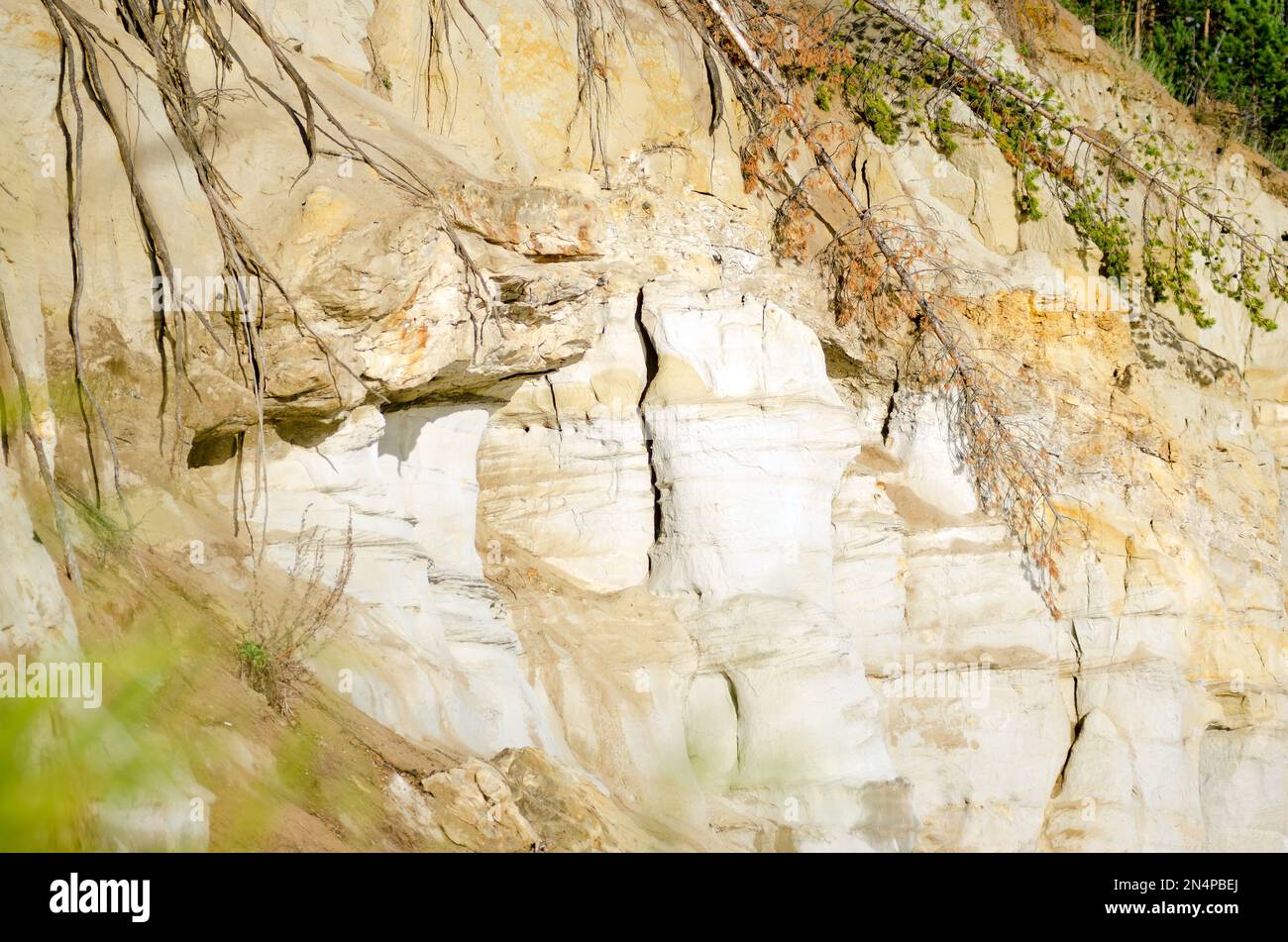 Clay precipice near the river with erosion types of relief and ...