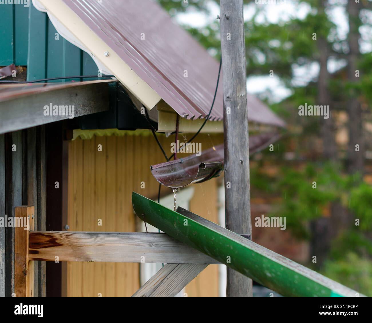 Rainwater flows from the roof into the gutter and collects in the ...