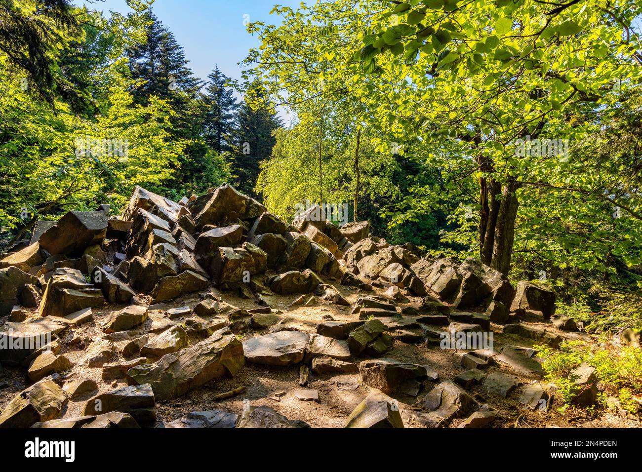 Lysica Mount peak near Swieta Katarzyna village and Bodzentyn at ...