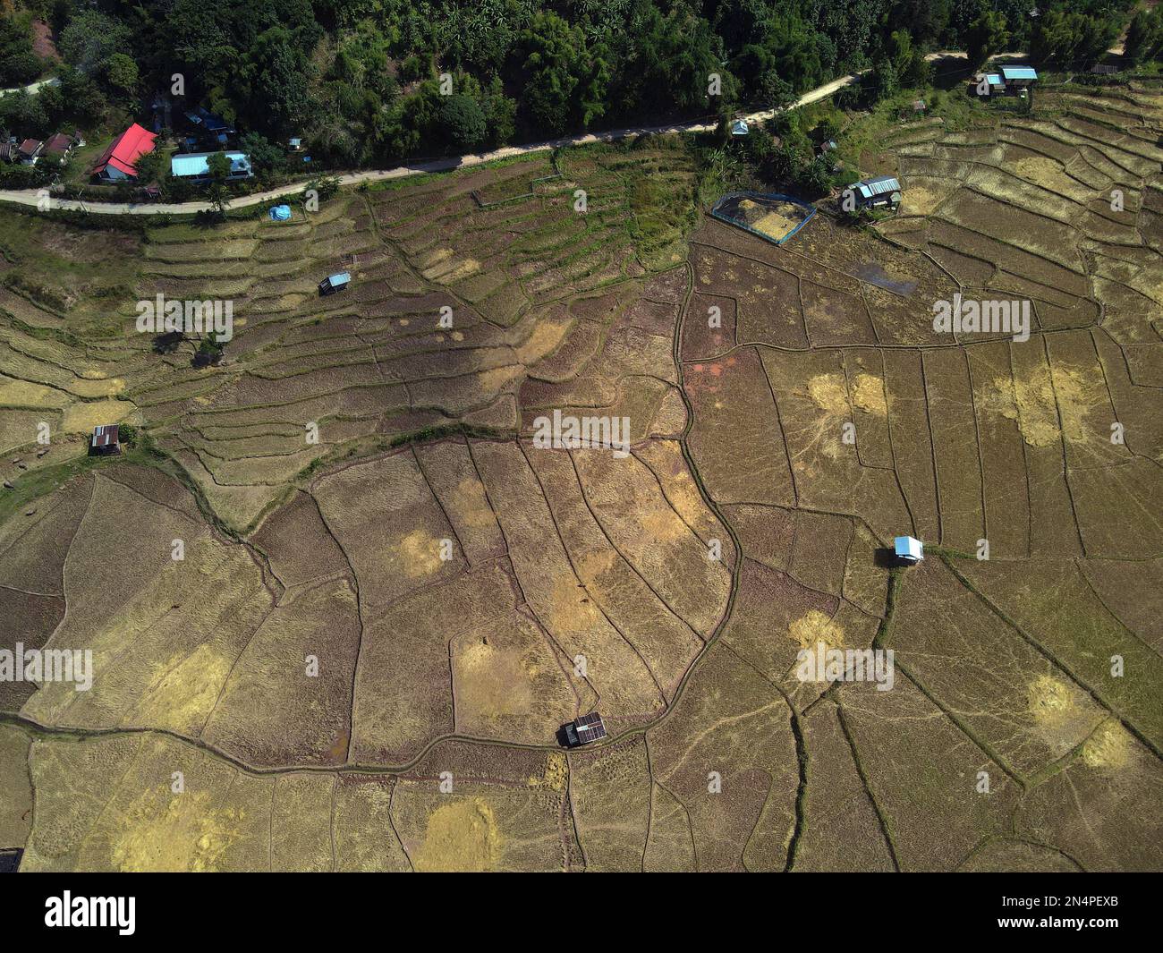 An aerial view of the Baan Ban Wen rice fields in Nan province ...