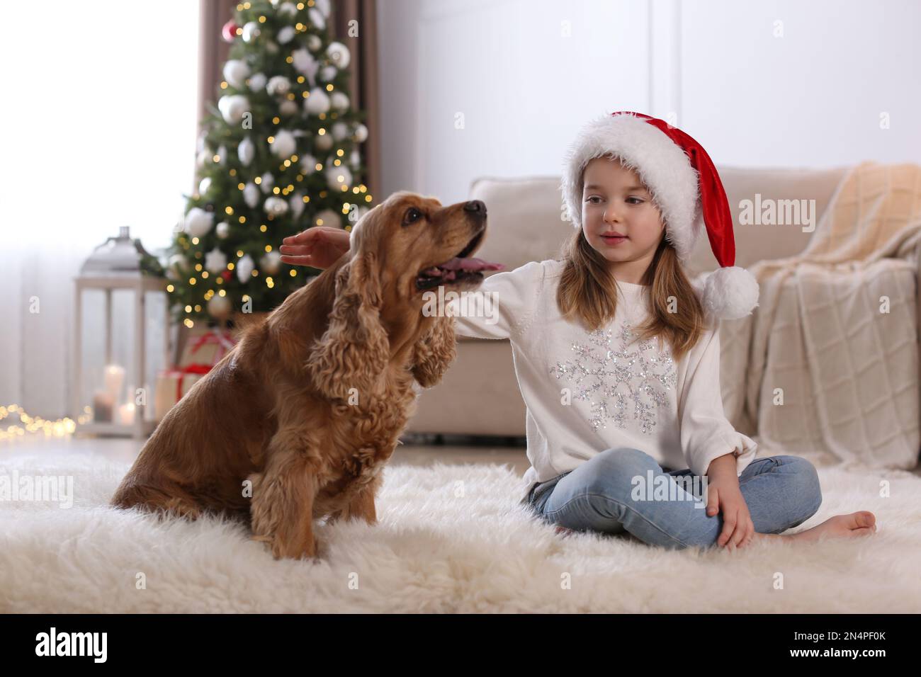Cute little girl with English Cocker Spaniel in room decorated for ...