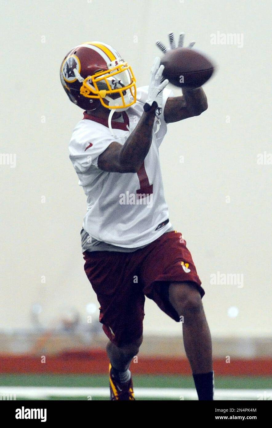 Desean Jackson Catch Redskins