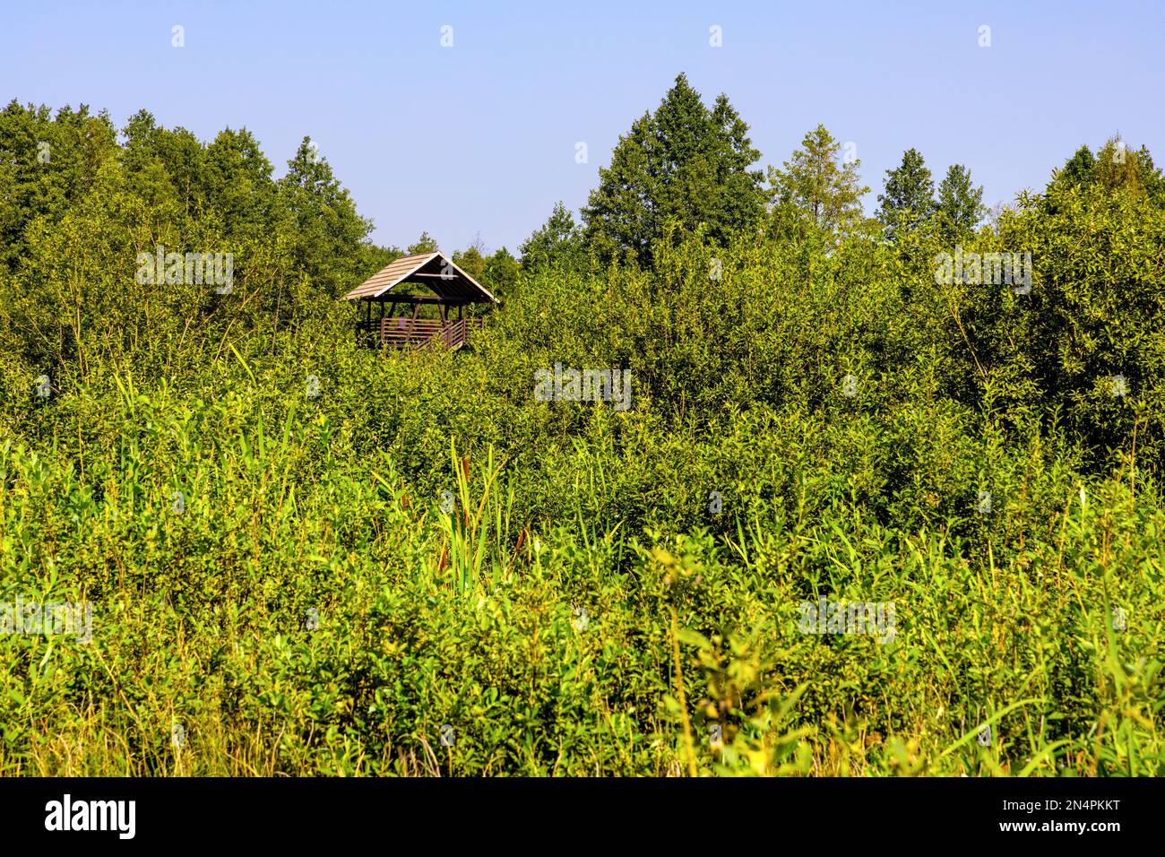 Calowanie, Poland - August 27, 2022: Observatory tower and platform ...