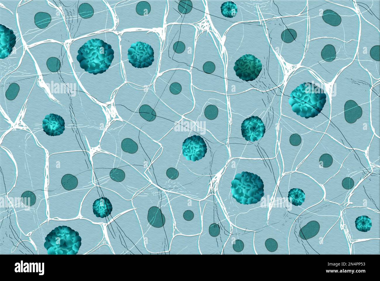 Closeup view of bacteria under microscope. Illustration Stock Photo - Alamy