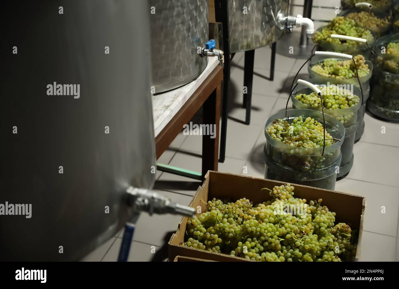 Steel tanks for wine fermentation and fresh grapes at factory Stock ...
