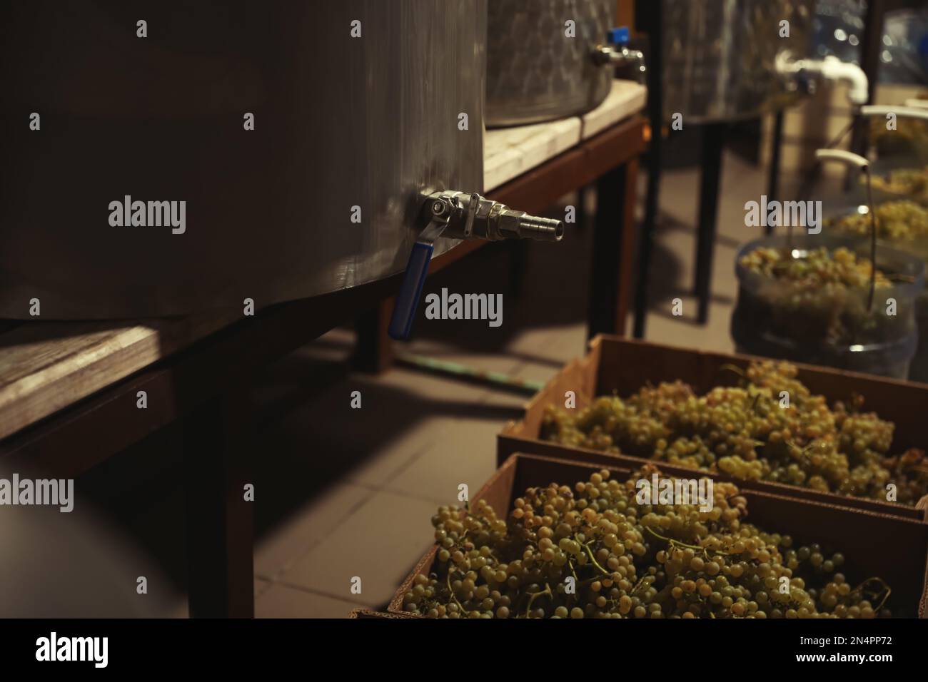 Steel tanks for wine fermentation and fresh grapes at factory Stock ...