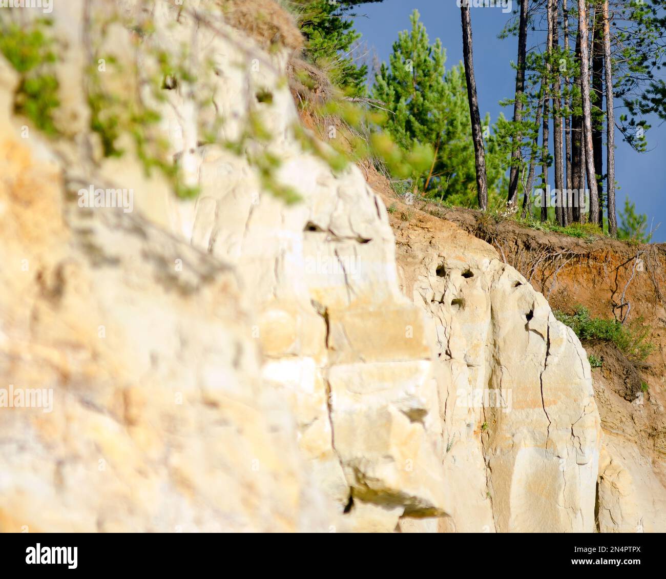 Clay cliff near the river with burrows in the form of a face and ...