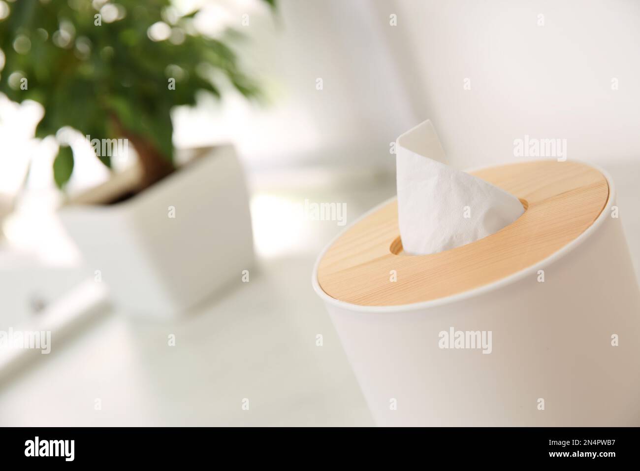 Plant tissues hi-res stock photography and images - Alamy