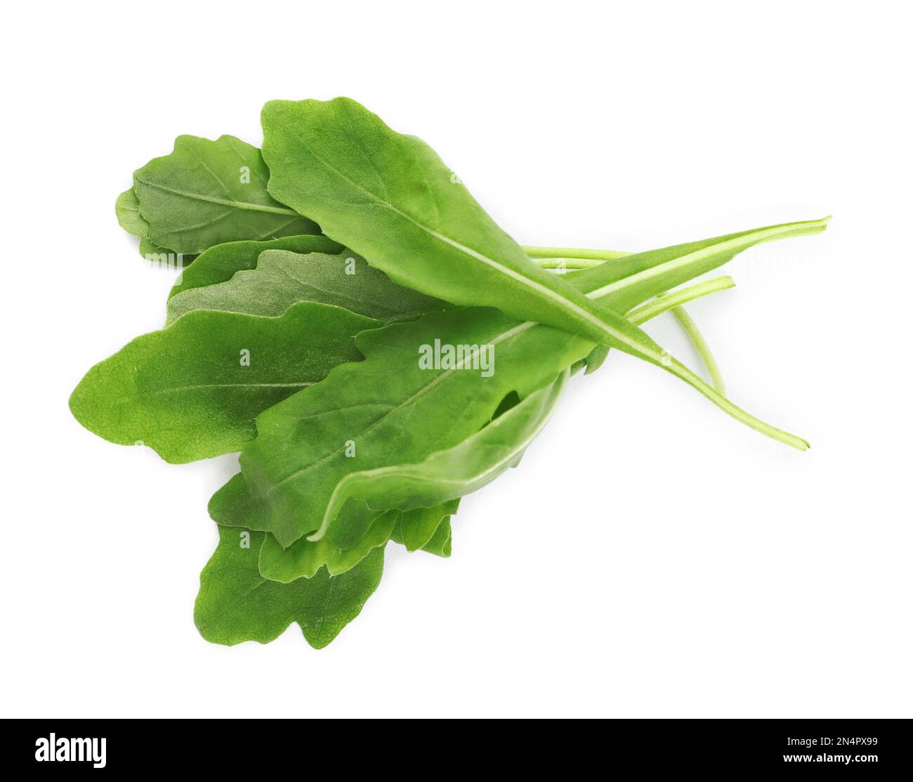 Fresh arugula on white background, top view Stock Photo - Alamy