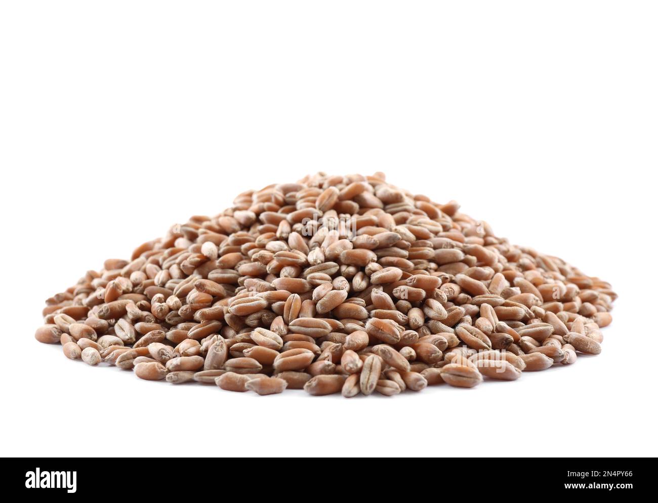 Pile of wheat grains isolated on white Stock Photo - Alamy
