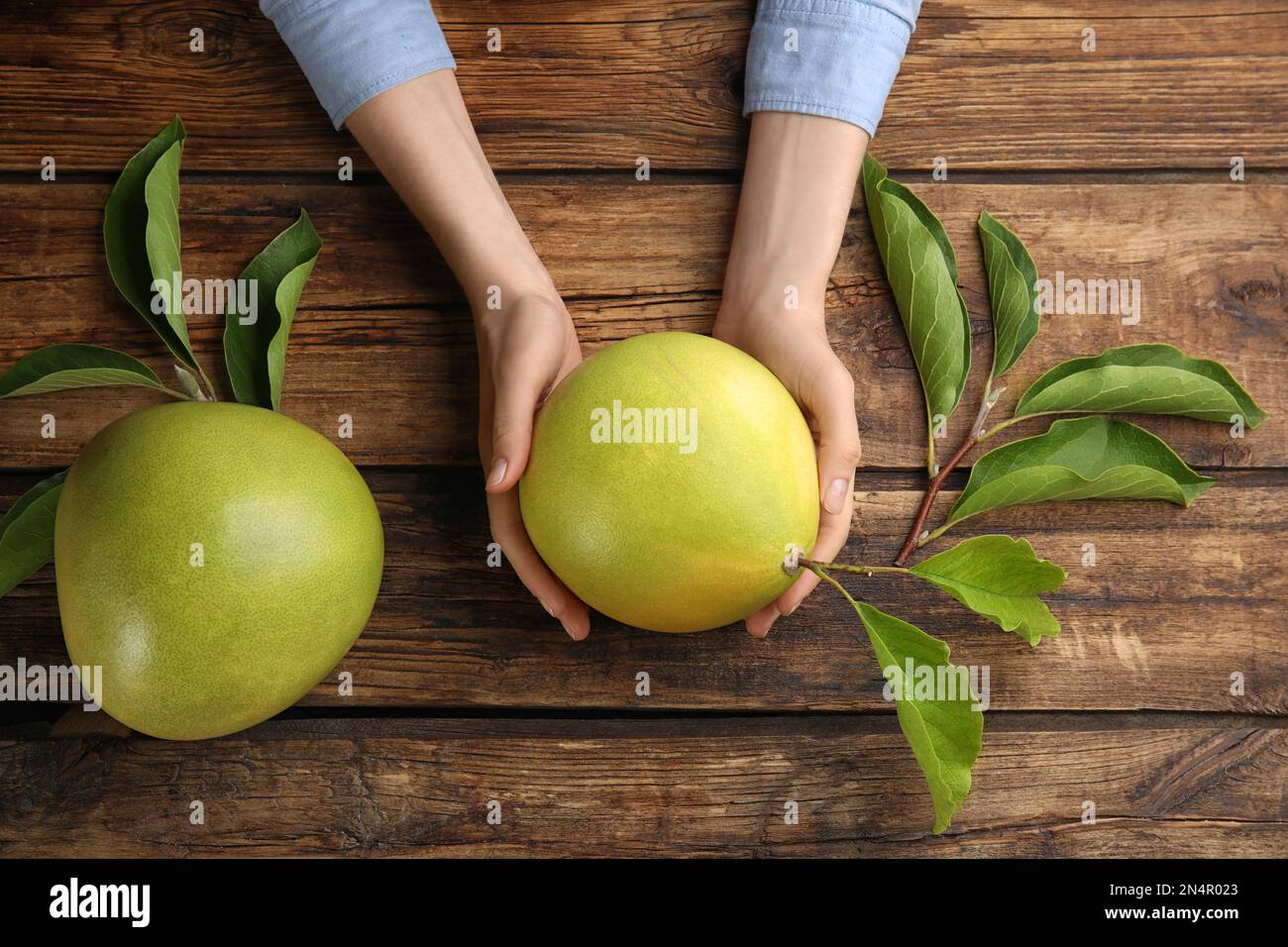Ripe pomelo hi-res stock photography and images - Alamy