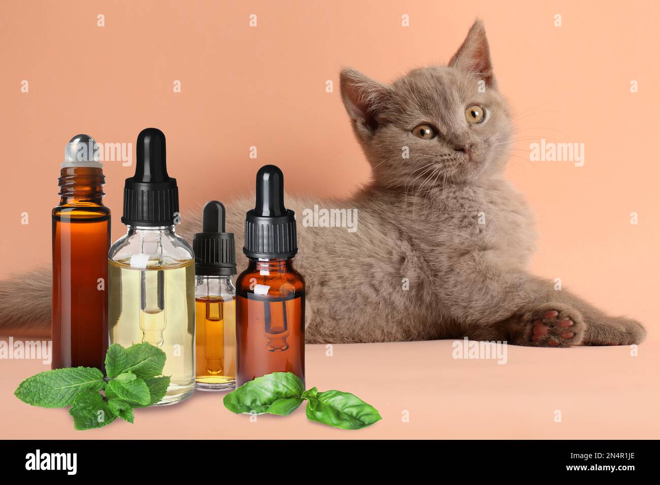 Diffusing therapy hi-res stock photography and images - Alamy