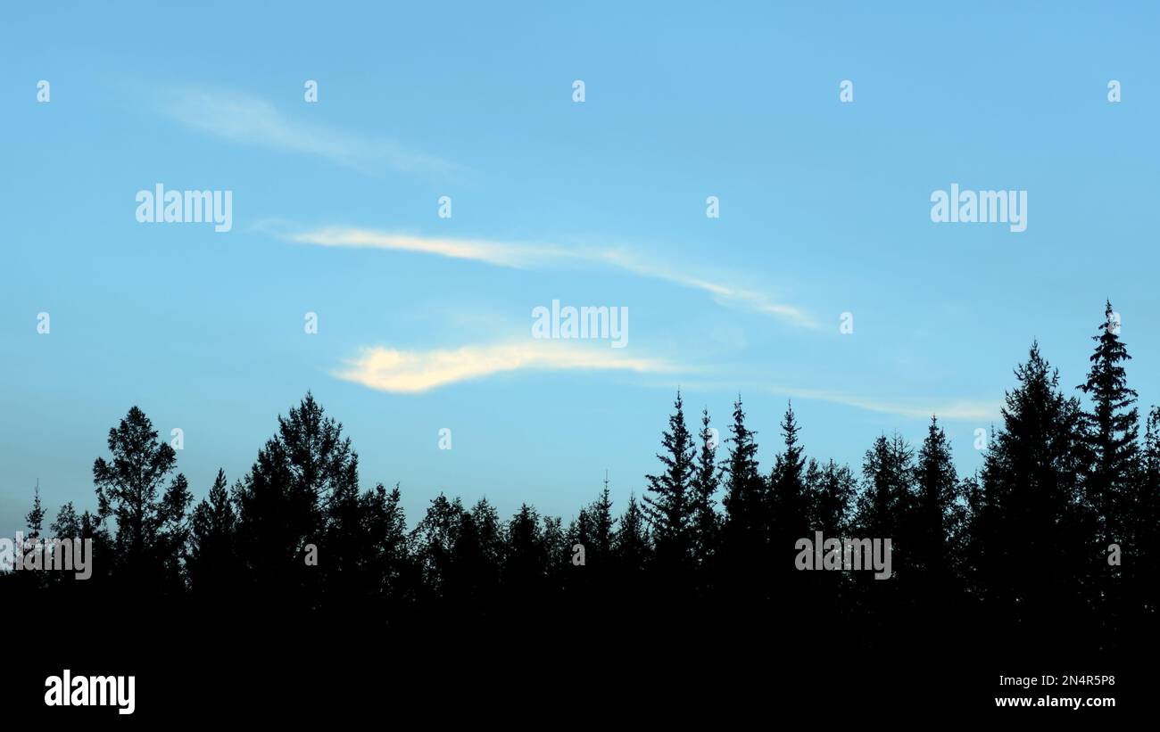 Three long strokes of clouds in the blue sky at sunset over the ...