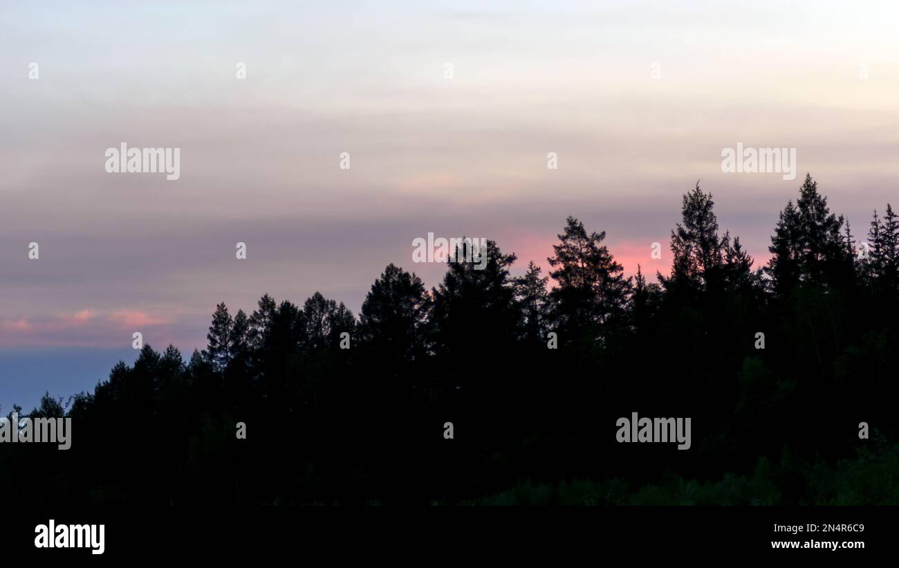 Bright colorful sunset at the slope of the forest trees of the Yakut ...