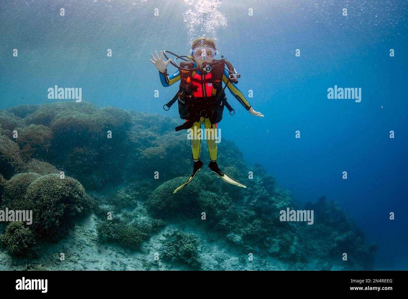 9 year old girl waving underwater, Post 1 dive site, Menjangan Island ...