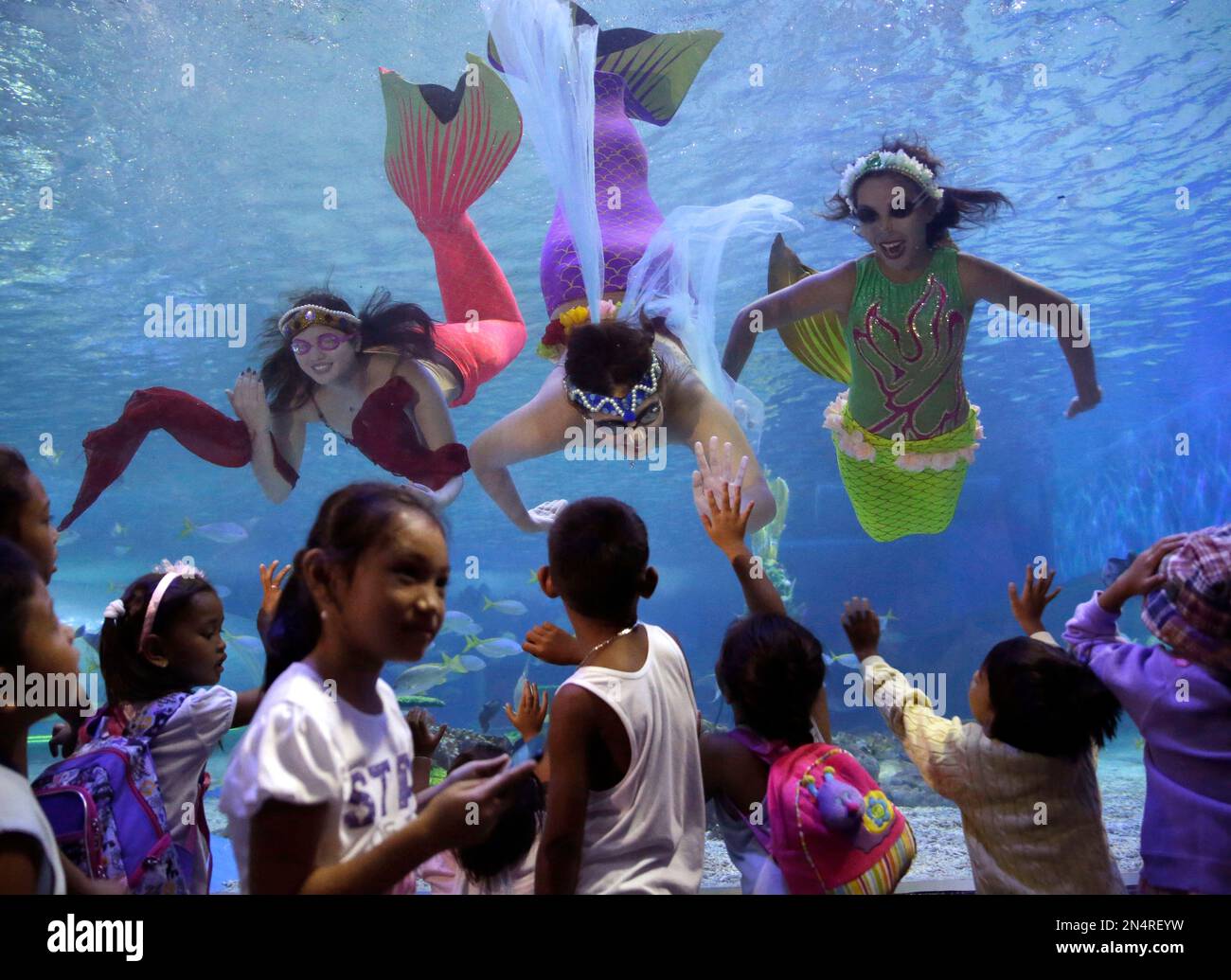 Divers dressed as mermaids interact with the crowd following a ...