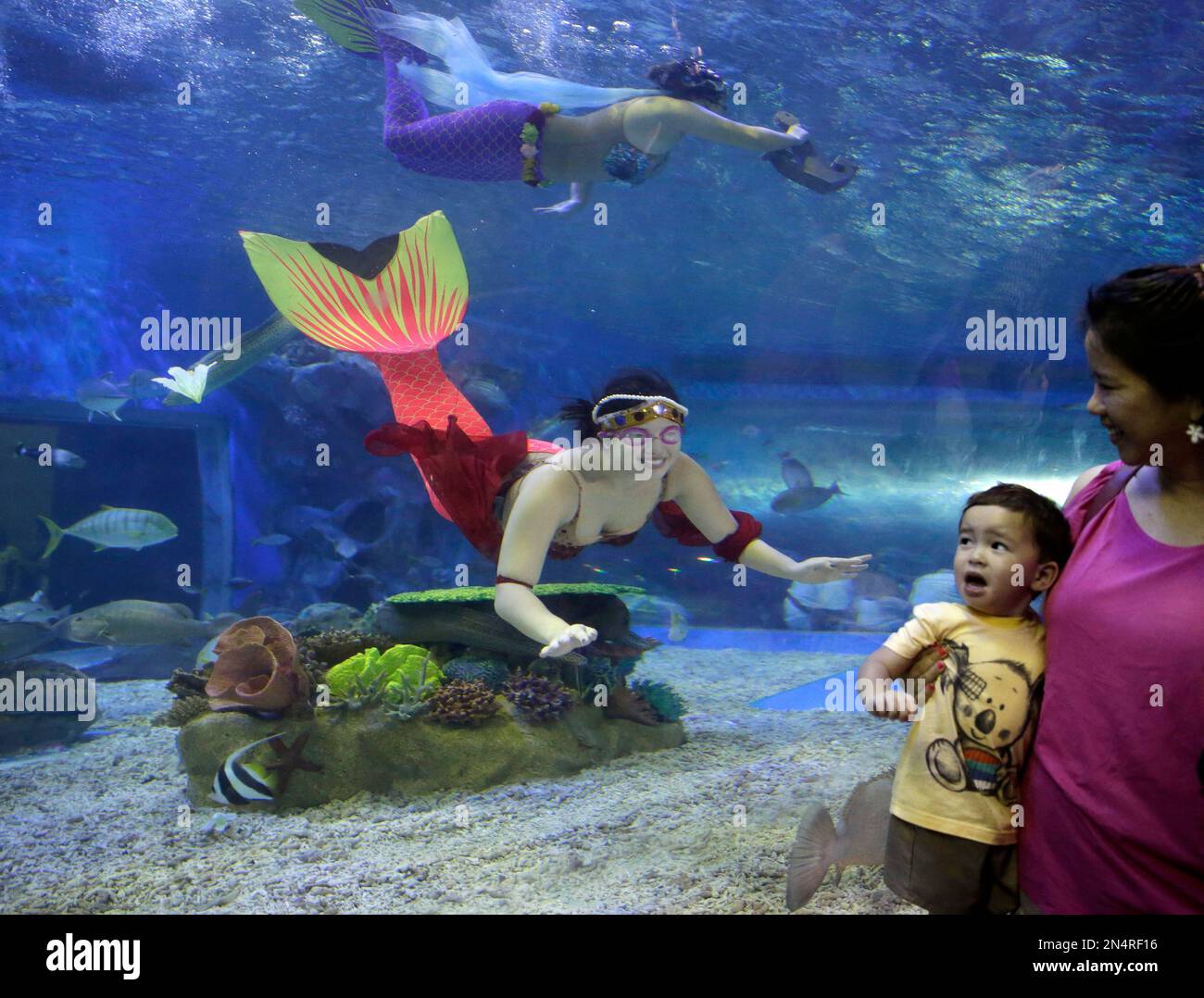 A diver, dressed as a mermaid, prepares to interact with a child ...