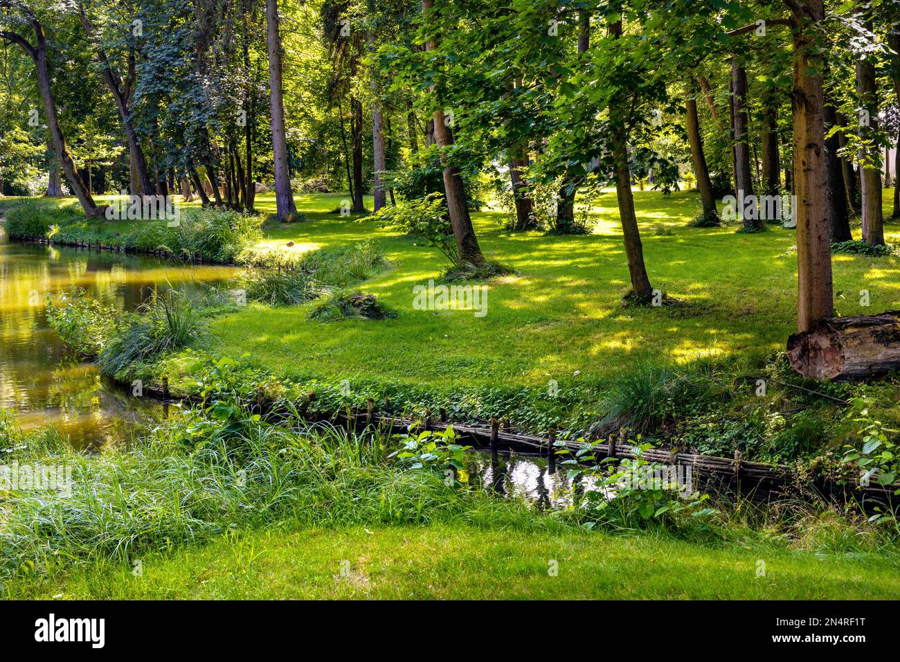 Rozalin hi-res stock photography and images - Alamy