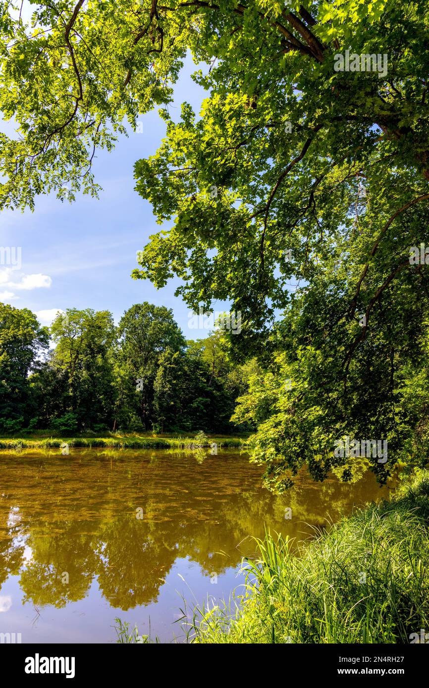 Historic park surrounding XVI century Rozalin Palace with vintage trees ...