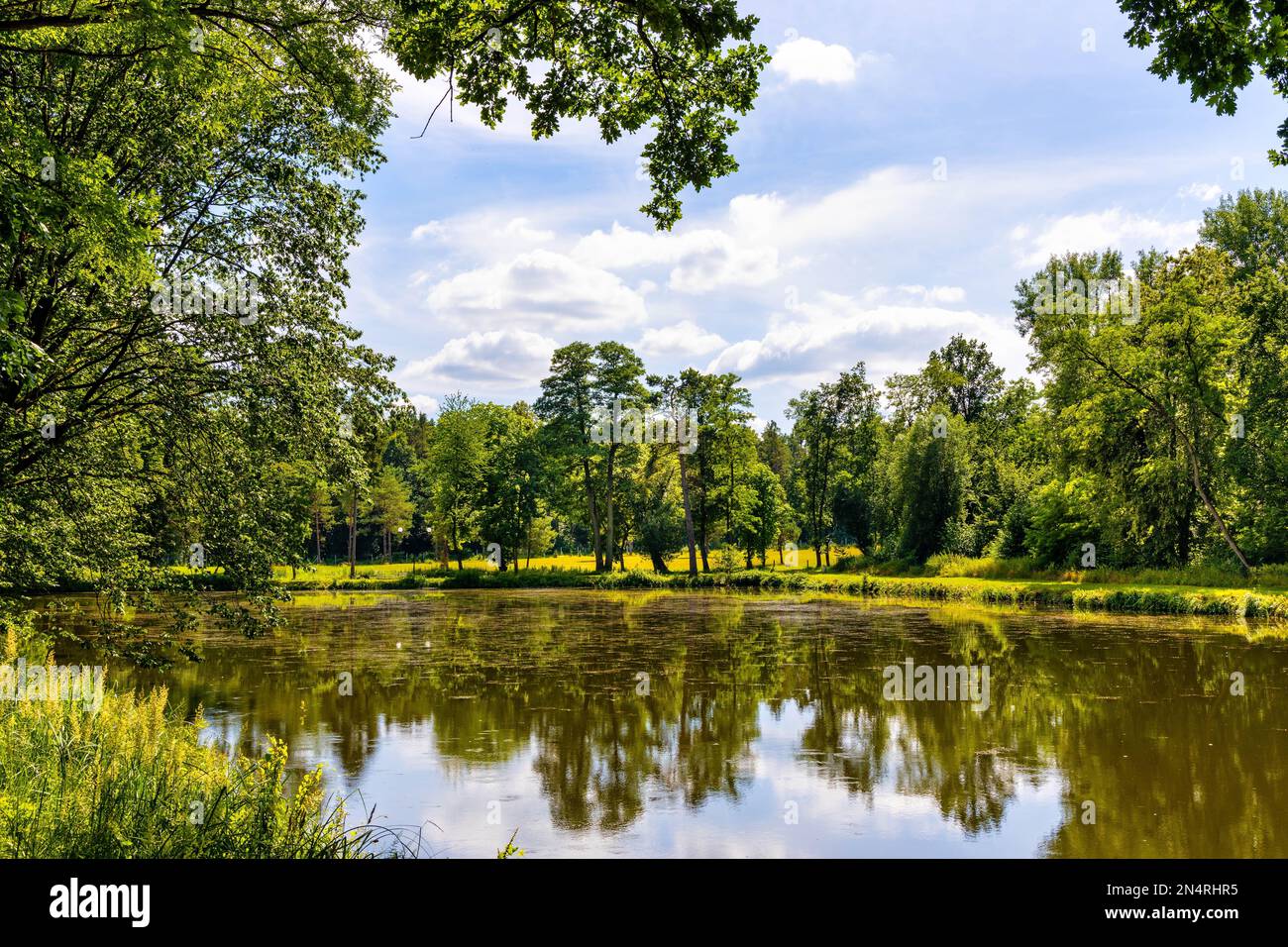 Rozalin hi-res stock photography and images - Alamy