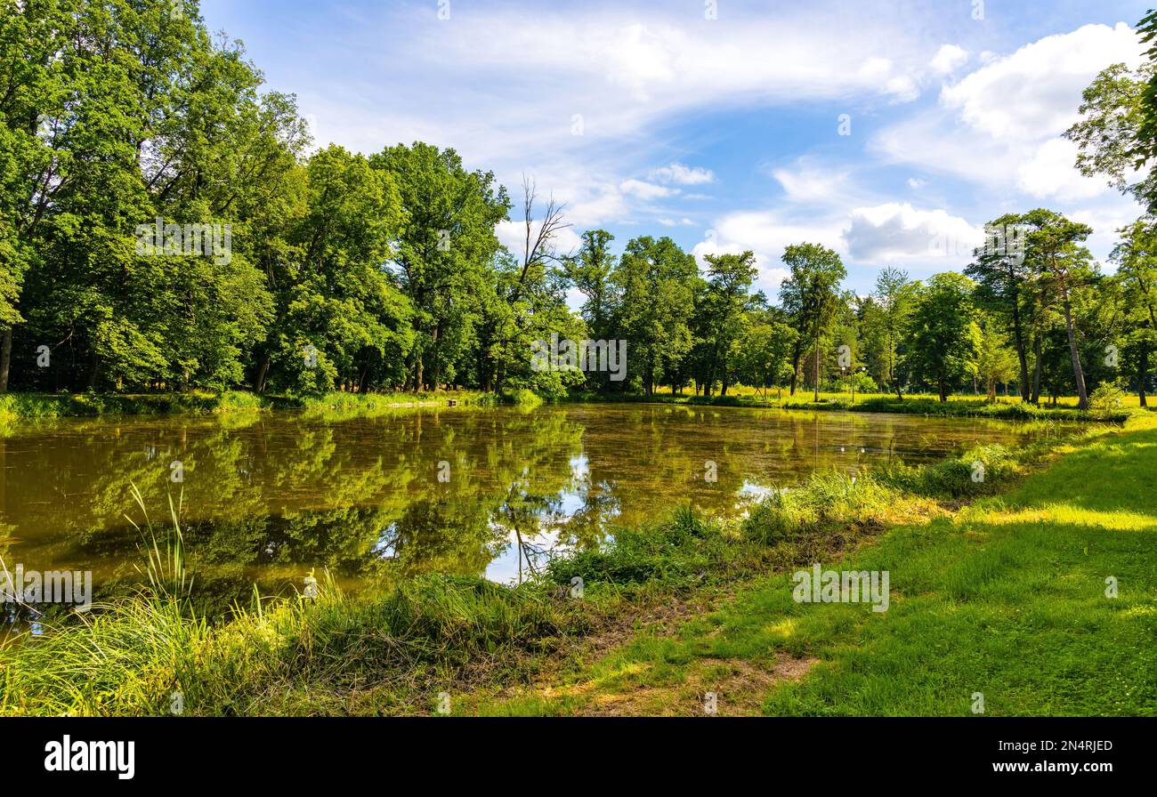Rozalin hi-res stock photography and images - Alamy