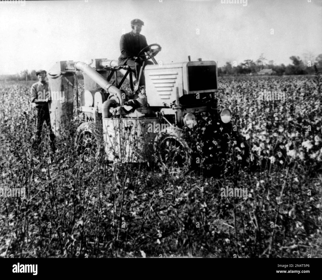 A mechanical cotton picker is shown in use on Dec. 22, 1930. The farm ...