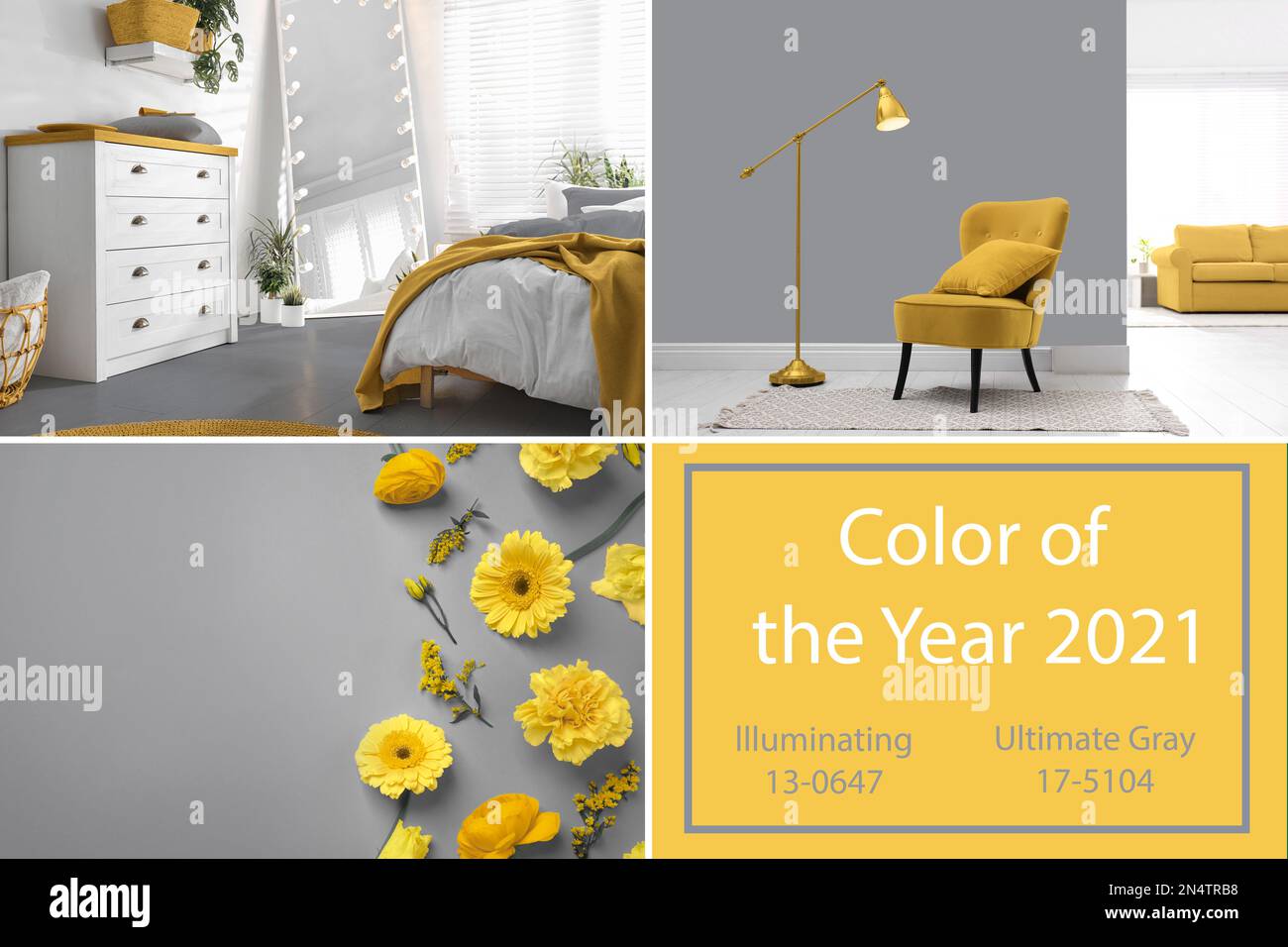 Color of the year 2021. Collage with different photos Stock Photo - Alamy
