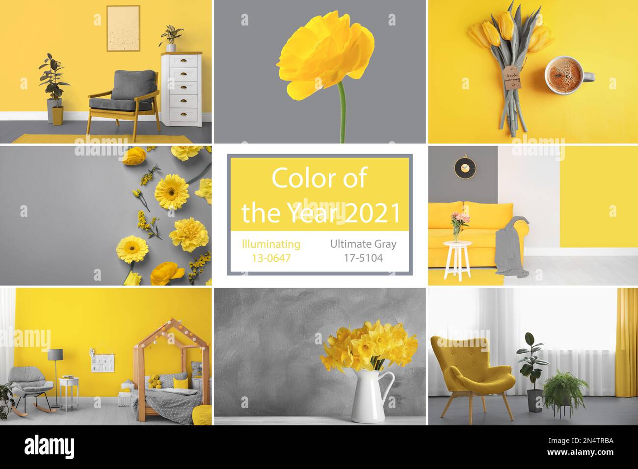 Color of the year 2021. Collage with different photos Stock Photo - Alamy