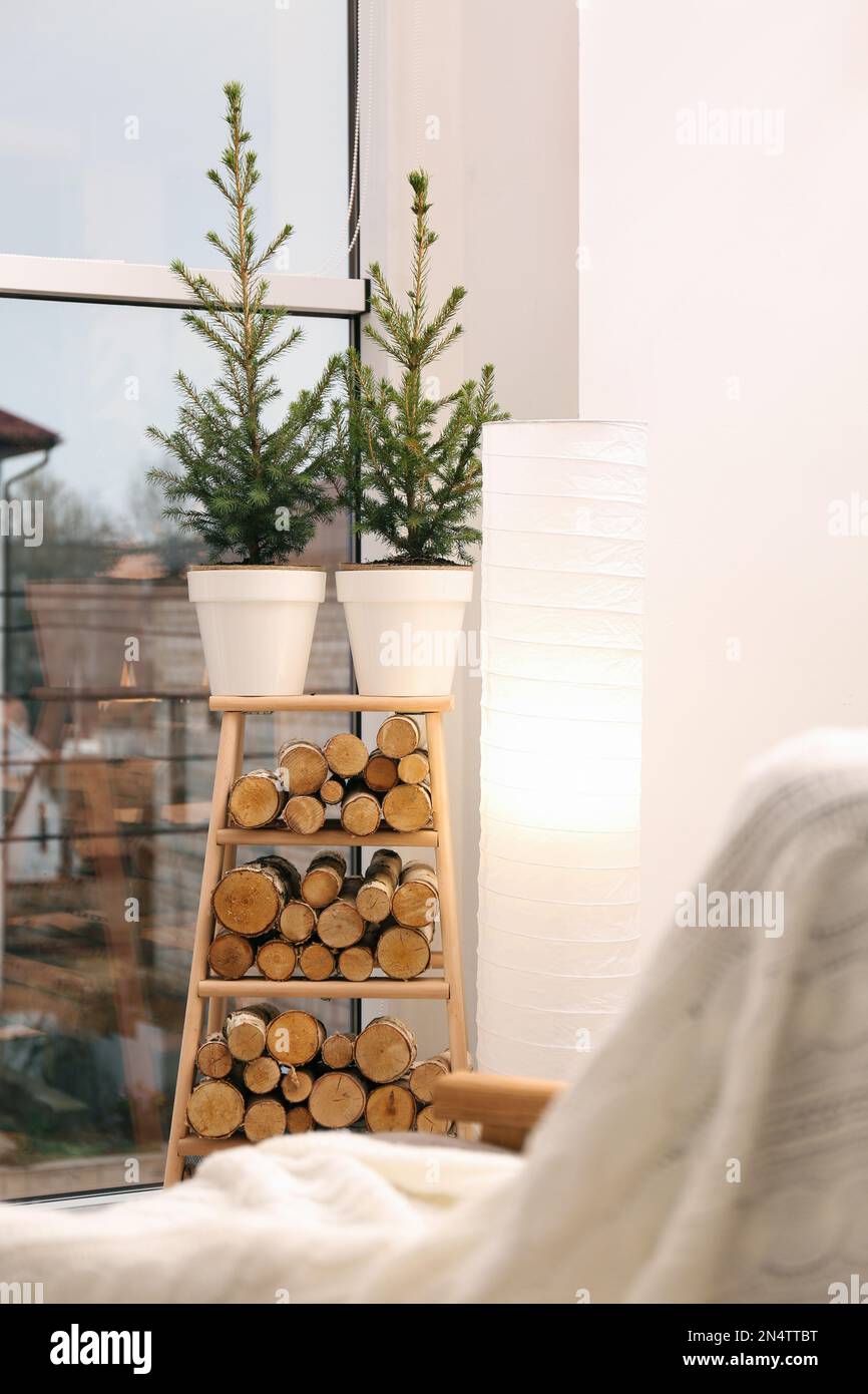 Small potted trees hi-res stock photography and images - Alamy