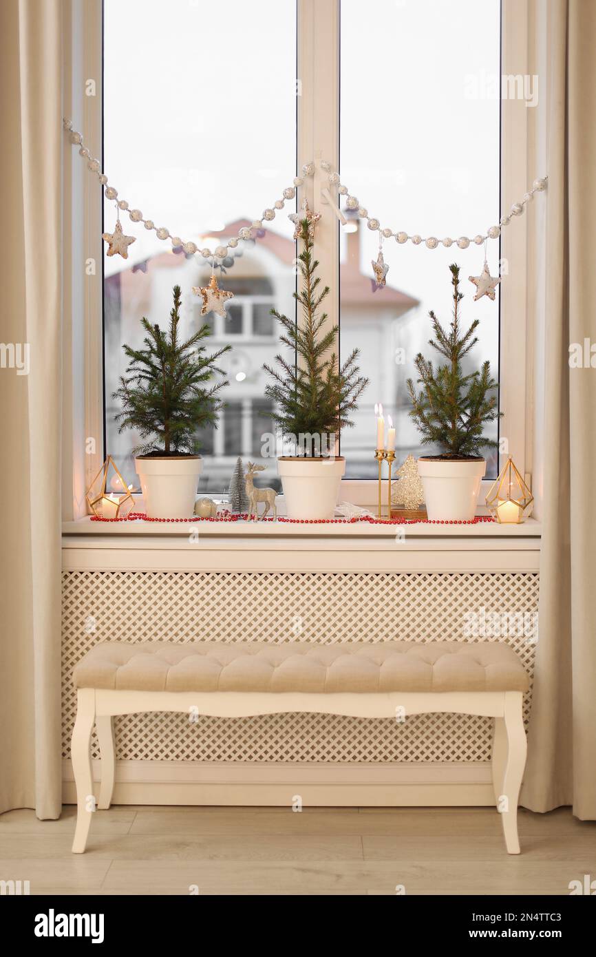 Small potted fir trees and Christmas decor on window sill indoors Stock ...